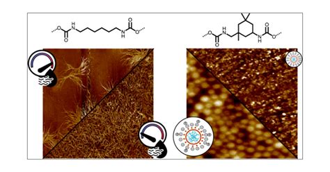 Morphology Control In Waterborne Polyurethane Dispersion Nanocomposites Through Tailored