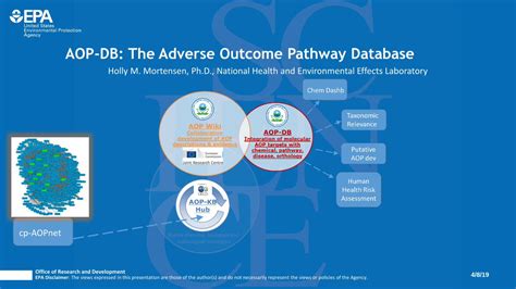 pdf aop db the adverse outcome pathway database dokumen tips