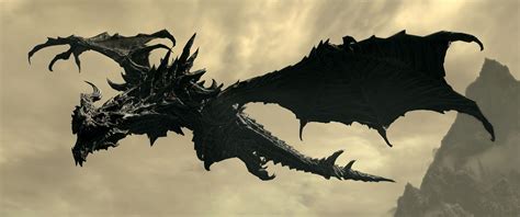Hintergrundbilder Videospiele Einfarbig Rabe Drachen The Elder