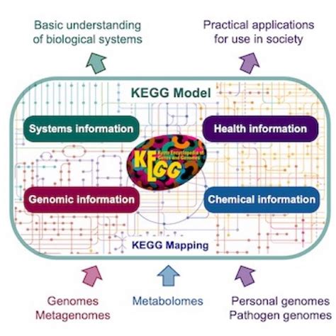 Introduction To Bioinformatics Database Genome Jp Sajjad Hafizi
