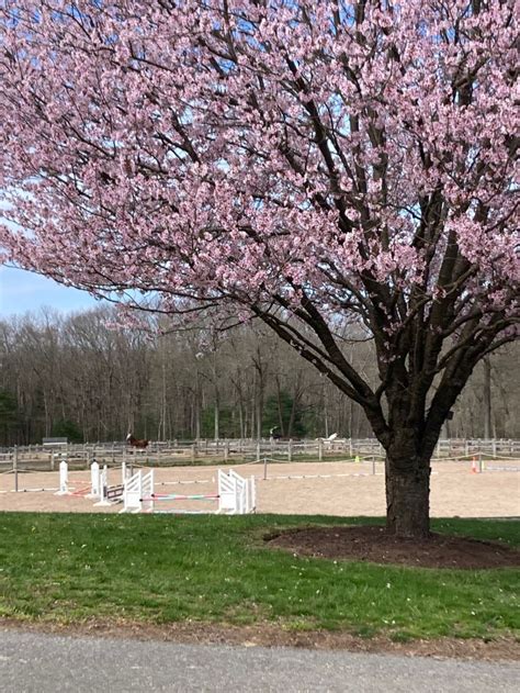 Great To Be A Part Of This Educational Event And To Meet New People In Our Region Chris Pedersen