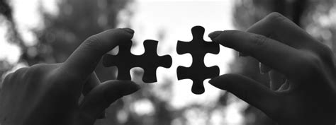 Interdependence Between Independence And Dependence Brighton And