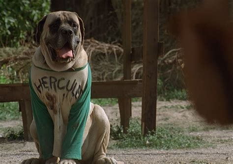 Así Están Hoy Los Protagonistas De Nuestra Pandilla La Película Que