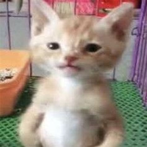 Stream Ryúu Music Listen To Songs Albums Playlists For Free On Soundcloud