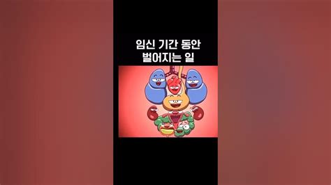 임신기간동안 벌어지는 일 Youtube