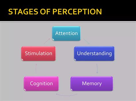 Perception Meaning Definition Stages Factors Pptx