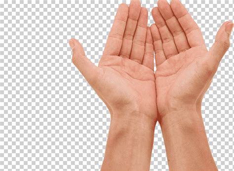 كف يد نعتز الناس العمل اليد Png