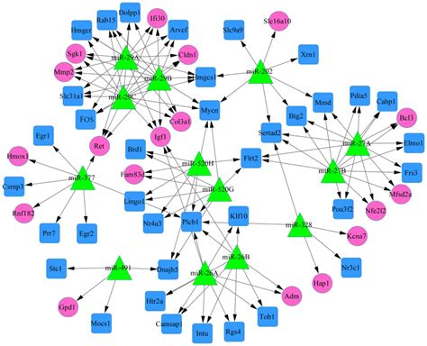 Bioinformatics Analysis Of Microarray Data To Reveal The Pathogenesis