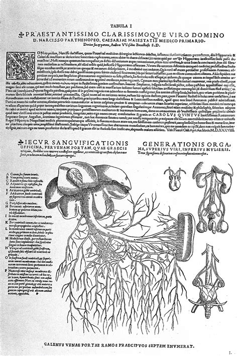 Her Exploring Identity Heritage History Her