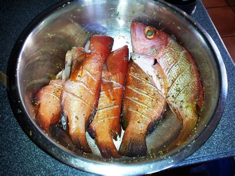 Fish Oil Oil Temp For Frying Fish
