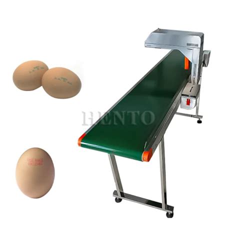 Hento Factory Automatic Egg Date Coding Printing Machine Egg Inkjet