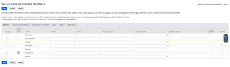 Netsuite Applications Suite Effects Of Auto Generated Numbers During Imports