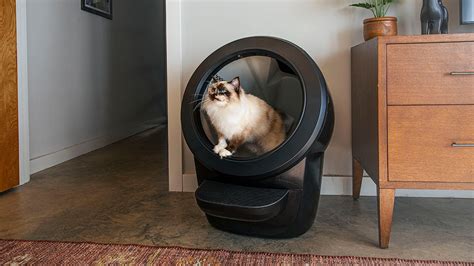 Getting Started With Litter Robot 4