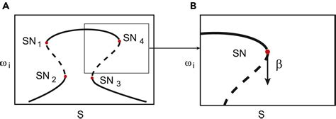 Automated Design Of Gene Circuits With Optimal Mushroom Bifurcation Behavior Iscience