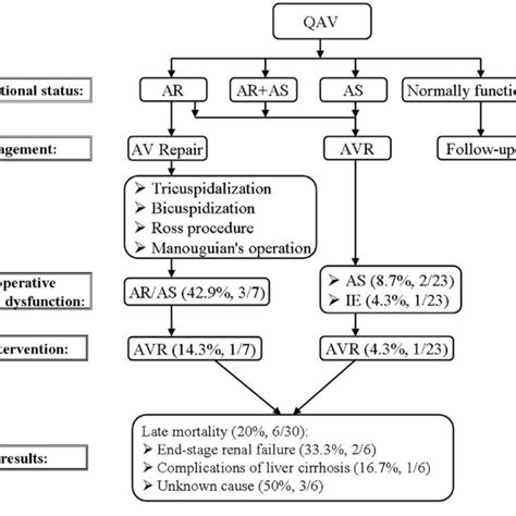 Nakamura Et Al 11 Simplified Classification Of Quadricuspid Aortic