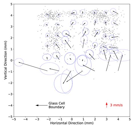 Box Averaging Of Velocity Vectors Inferred From Correlated Cluster Download Scientific Diagram