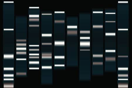 New Cloud Based Platform Opens Genomics Data To All Hub