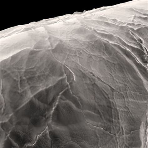 Bacterium 3d Model Bacterium 3d Model