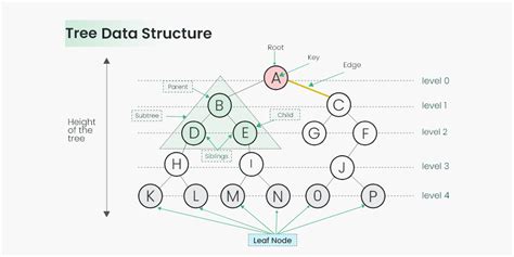Introduction To Tree Data Structure And Algorithm Tutorials Geeksforgeeks