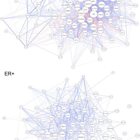 Differential Co Expression Network Of Er Samples And Er2 Samples