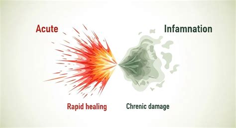 Acute Vs Chronic Inflammation Differences And Health
