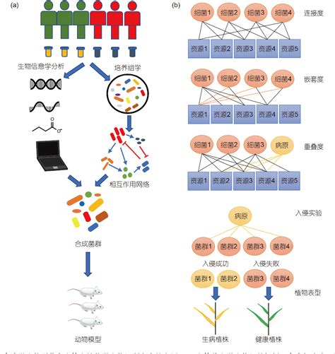 Figure 2 From Design And Application Of Synthetic Microbial Communities
