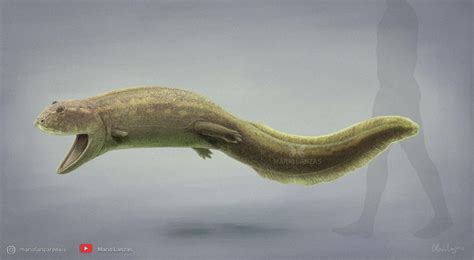Crassigyrinus By Mariolanzas On Deviantart