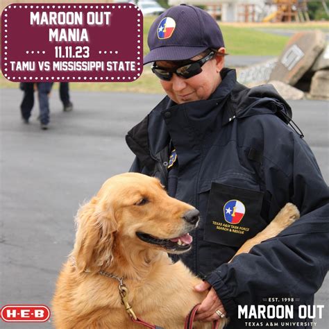 Macie Thompson On Linkedin K9 Maui And I Will Be There If You Want To