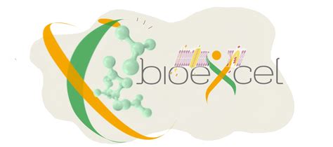 Img 2558 Bioexcel Centre Of Excellence For Computation Biomolecular Research