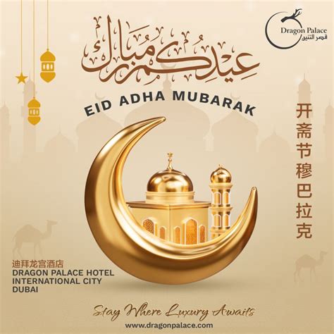 Mahmoud Osama On Linkedin Dragonpalacehoteldubai Dphdxb Dubai Internationalcity