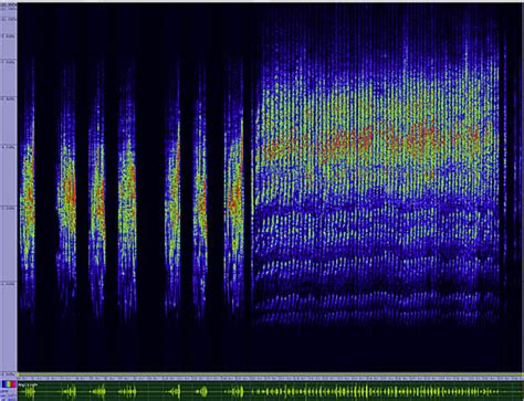 Bells Vireo Ask A Biologist