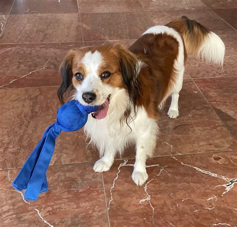 Toby By Tmnn1711 On Deviantart