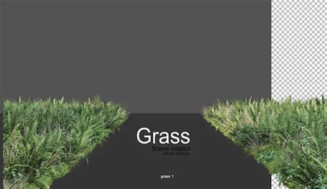 Premium PSD Various Types Of Grass