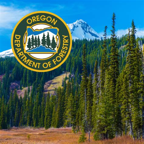 Civil Engineering Gis And Geospatial Technology Environmental