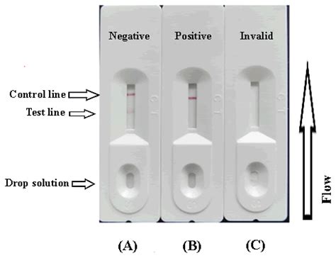 Sensors Special Issue Nanoparticle Based Biosensors