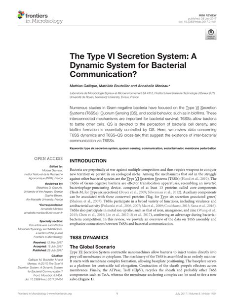 Pdf The Type Vi Secretion System A Dynamic System For Bacterial Communication