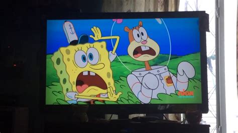 Spongebob Shaved Head At Ronda Rothermel Blog