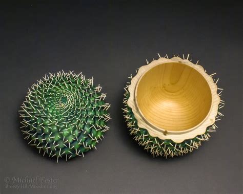 Fibonacci Fibonacci Fibonacci Sequence Art Art Base