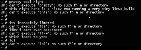 Discover The Trick To Run Linux Like Ms Dos After A Windows Blue Screen