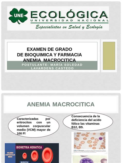Anemia Macrocitica Pdf