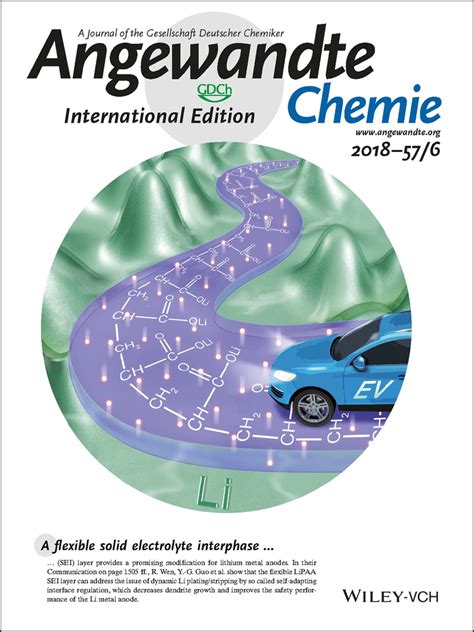 Inside Cover A Flexible Solid Electrolyte Interphase Layer For Long‐life Lithium Metal Anodes