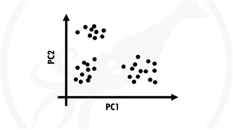 Principal Component Analysis PCA Simply Explained Biostatsquid Com