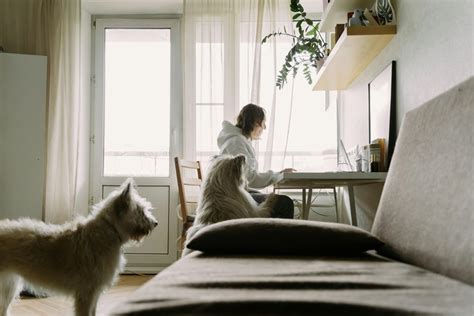 Are There Any Plants That Are Toxic To Pets I Should Avoid In My Home