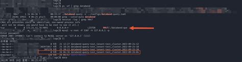 Bug Mysql And Other Ports Crashed · Issue 7894 · Databendlabs