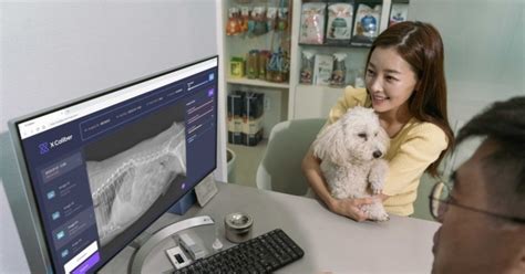 Skt Ai 반려견 엑스레이 분석 솔루션 ‘엑스칼리버 진단 범위에 복부질환 추가