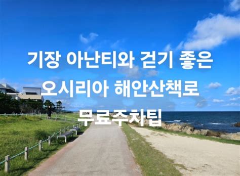 기장 아난티와 걷기 좋은 오시리아 해안산책로 무료주차팁 네이버 블로그