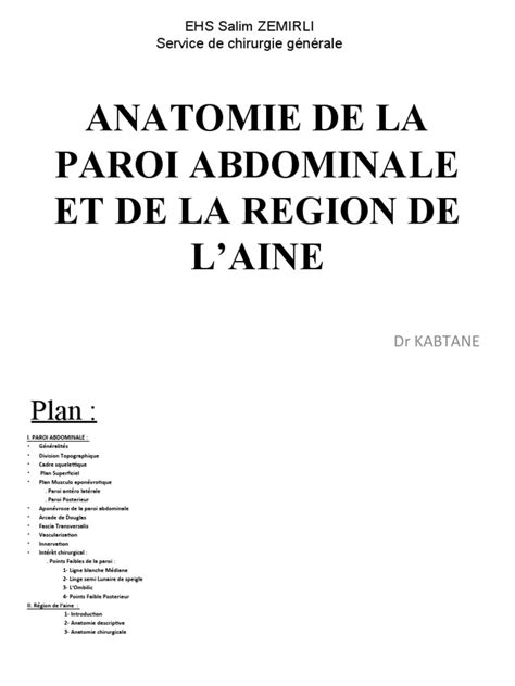 Anatomie De Laine Et Paroi Abdominale Pdf Péritoine Abdomen