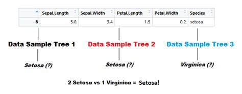 Reflections Of A Data Scientist R Machine Learning Bagging