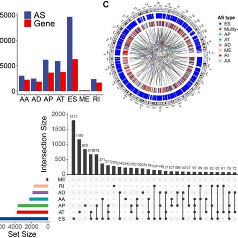 Overview Of As Event Profiling In The Tcga Ptc Cohort A Number Of Download Scientific
