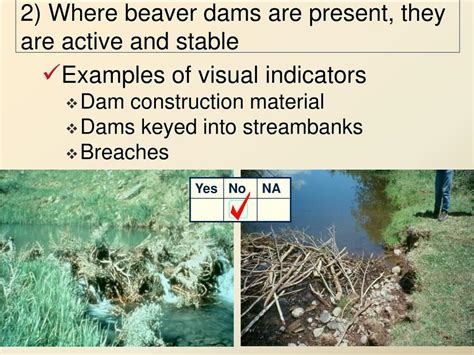 Ppt Process For Assessing Proper Functioning Condition Hydrology